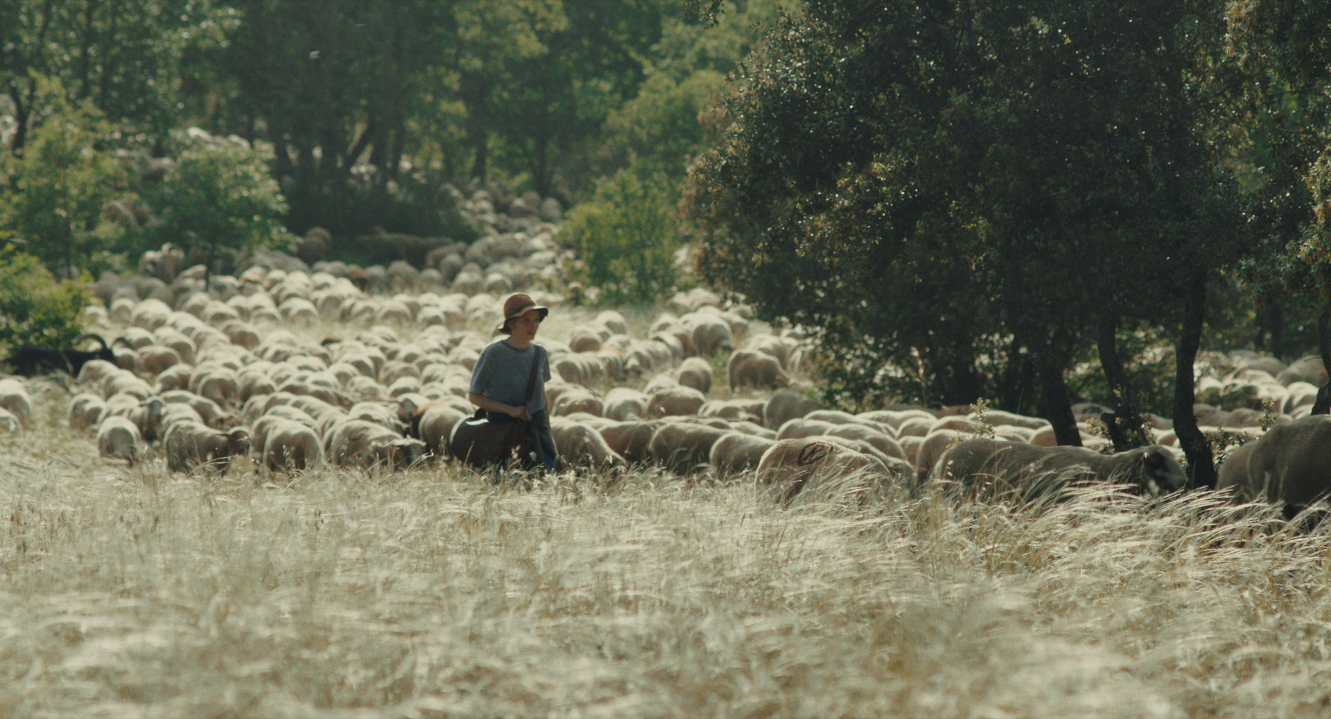 Fino alle montagne (2024). Recensione, trama e cast del film